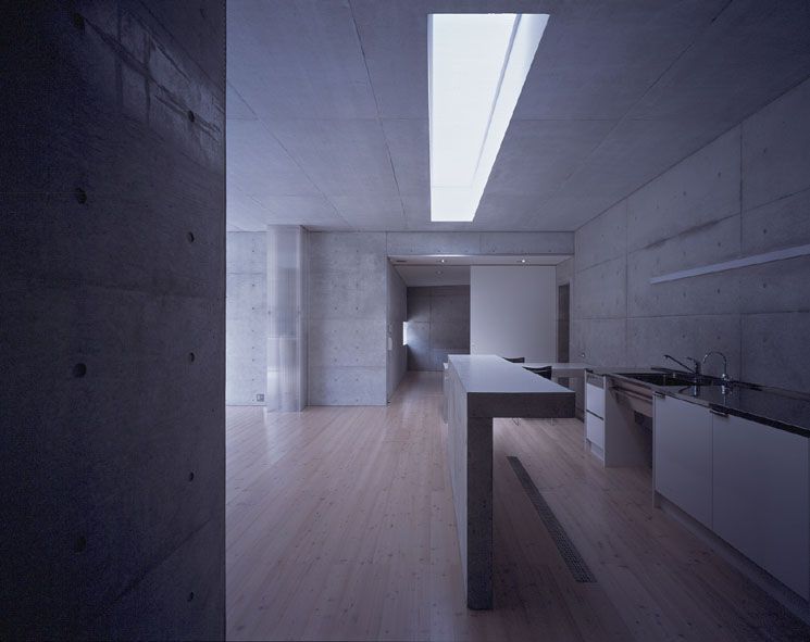 C+A - Coelacanth and Associates | CLINIC / HOUSE N