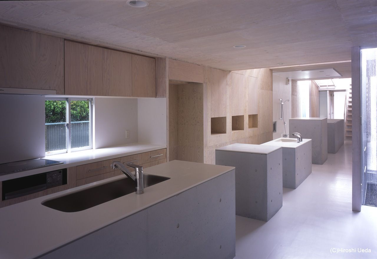 C+A - Coelacanth and Associates | House YK / Islands