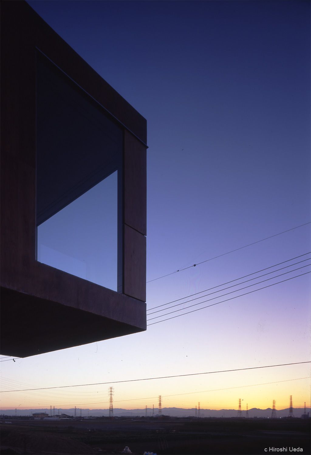 C+A - Coelacanth and Associates | Ota House Museum