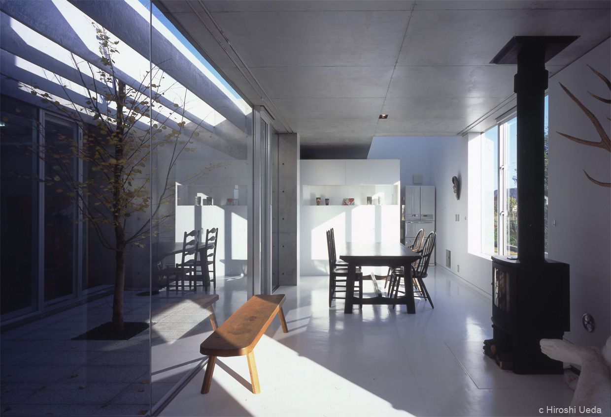 C+A - Coelacanth and Associates | Ota House Museum