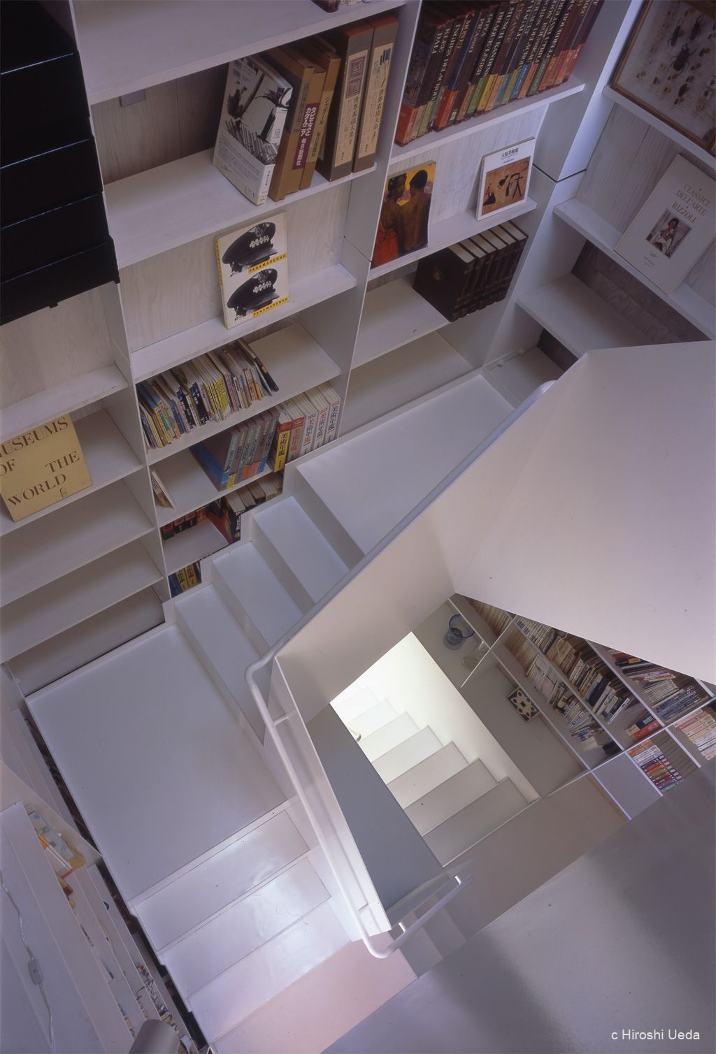 C+A - Coelacanth and Associates | Ota House Museum